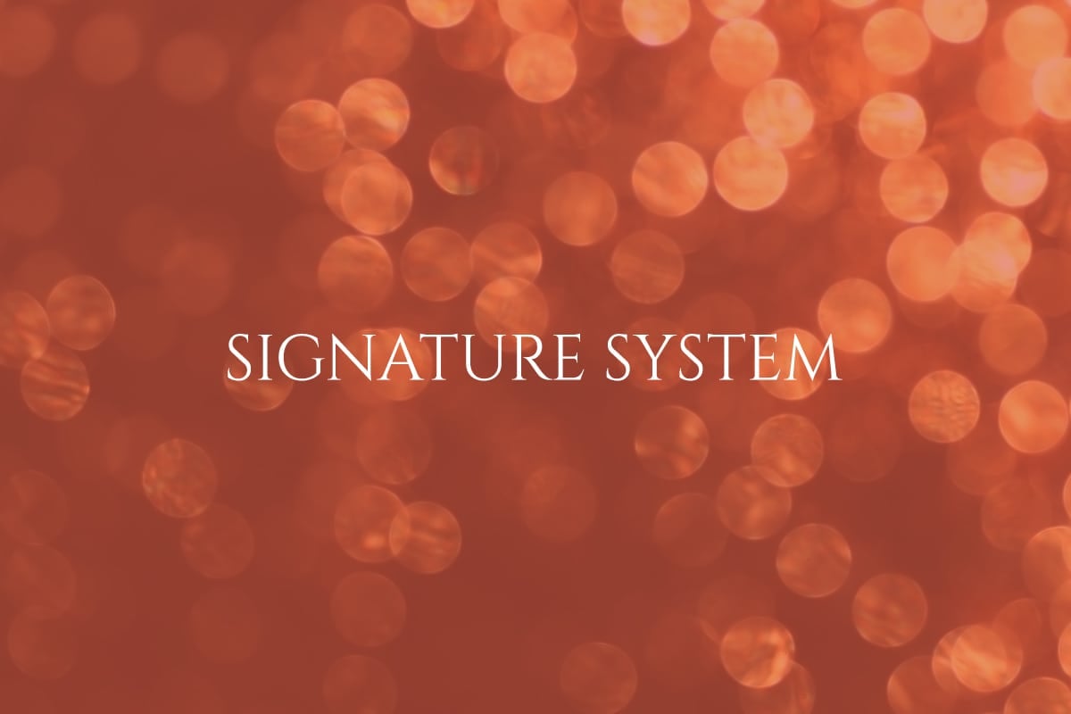 Ignite Module 5 The Business Growth Academy